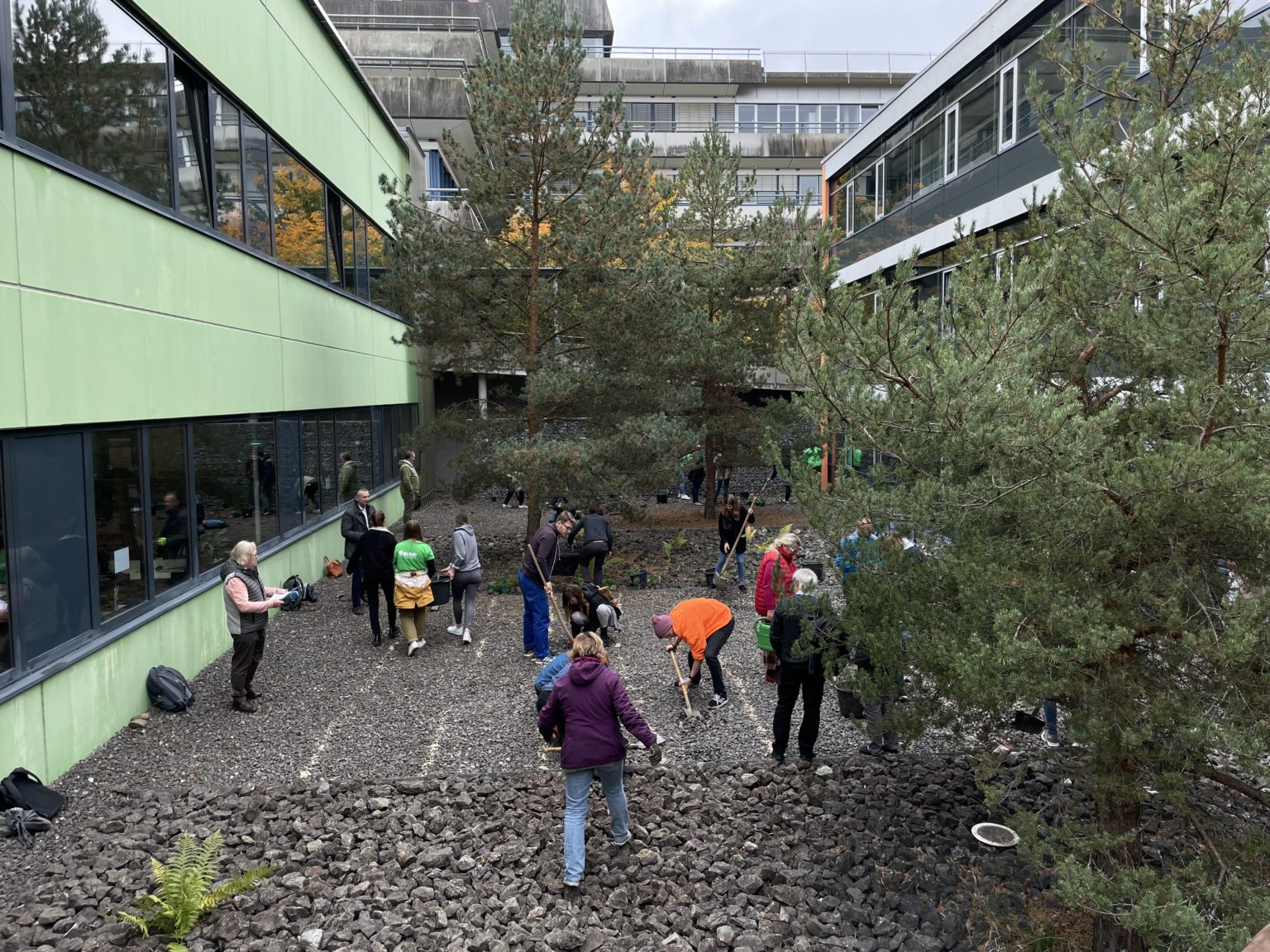 Ulm University aims for climate neutrality by 2030 - Yerun