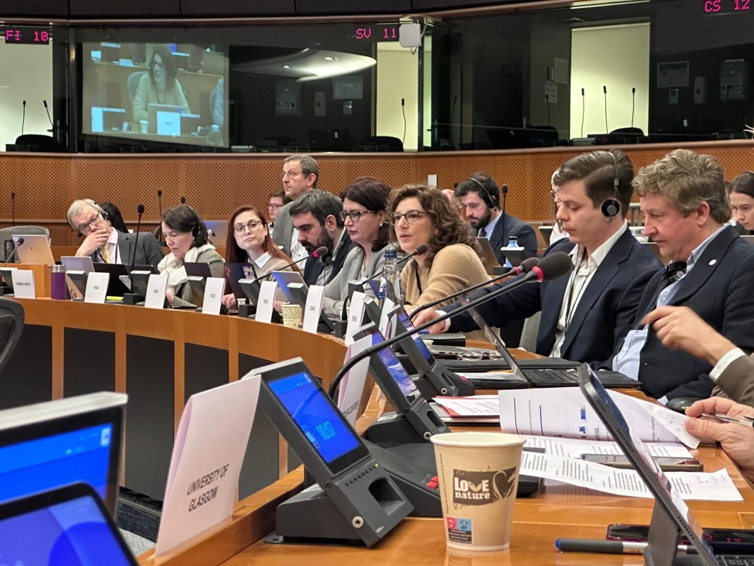 Designing the European Competitiveness Fund: Key Elements and the FP10 ...